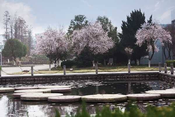 Lishui University - ISAC Teach in China