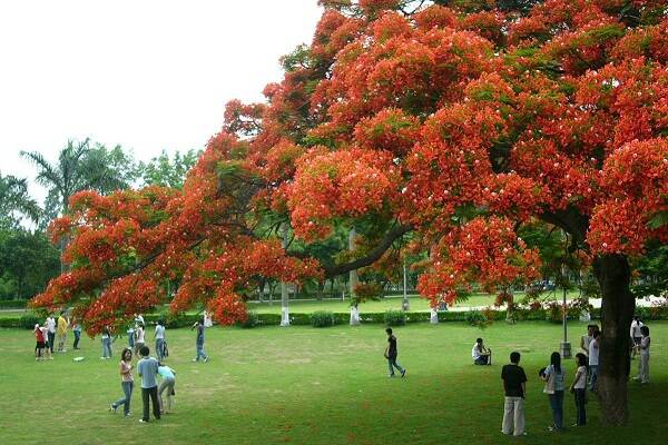 Shantou University | ISAC Teach in China | ISAC ESL Program