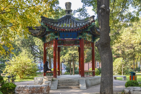 Beijing Forestry University | Higher Ed Jobs