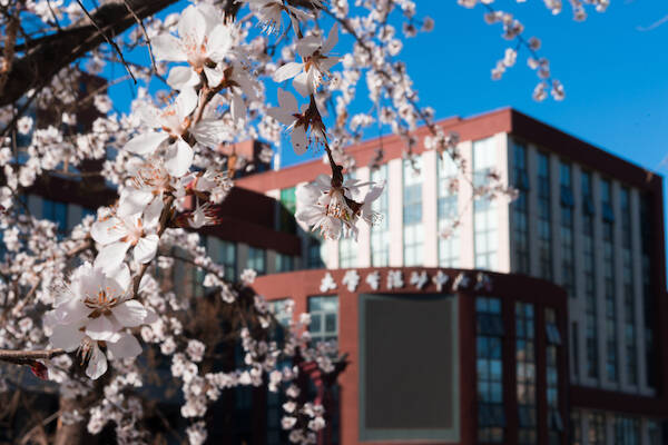 Capital Normal University - Higher Ed Jobs