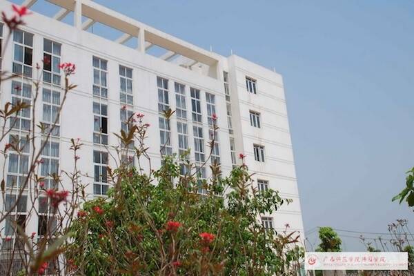 Shiyuan College of Nanning Normal University | Higher Ed Jobs
