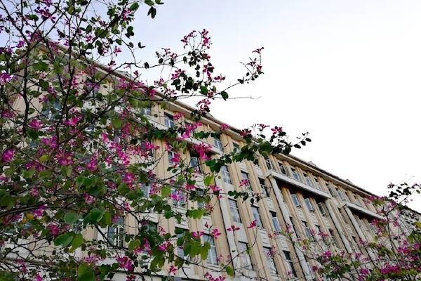 Wuzhou University | Higher Ed Jobs