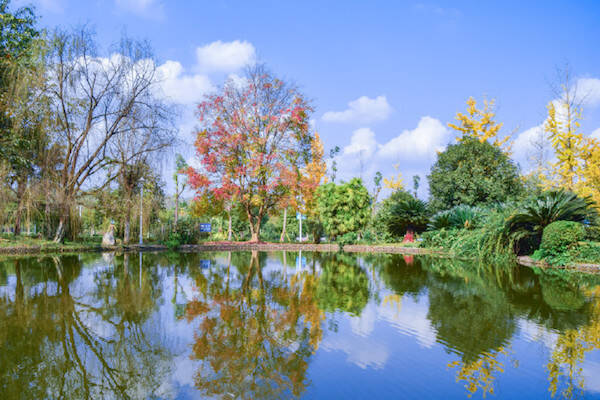 China West Normal University | Higher Ed Jobs with ISAC Teach Program