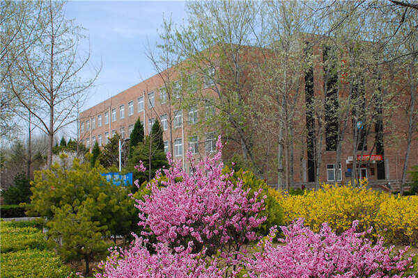 Shandong Vocational College of Science and Technology | Higher Ed Jobs