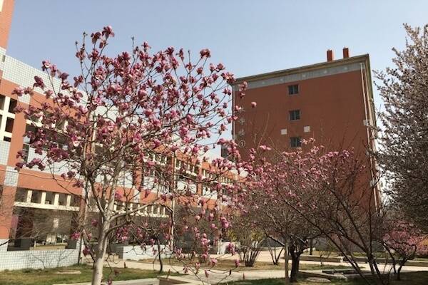 Xingtai University | Higher Ed Jobs