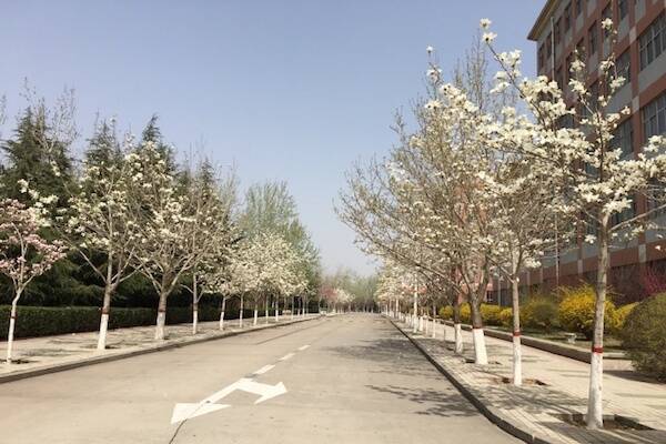 Xingtai University | Higher Ed Jobs