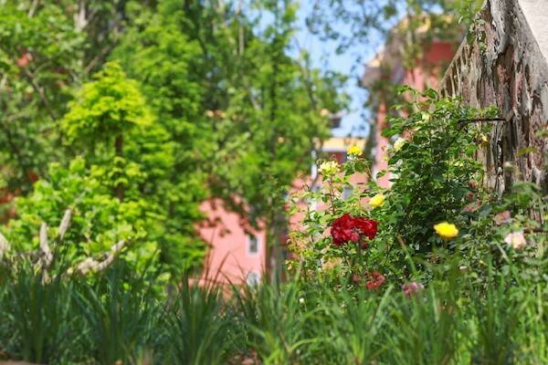 Zhengzhou Shengda University of Economics Business and Management ...