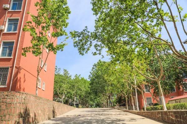 Zhengzhou Shengda University of Economics Business and Management ...