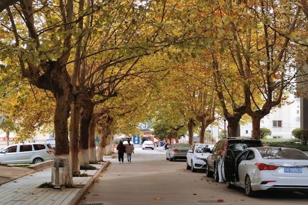 Yangling Vocational and Technical College | Higher Ed Jobs